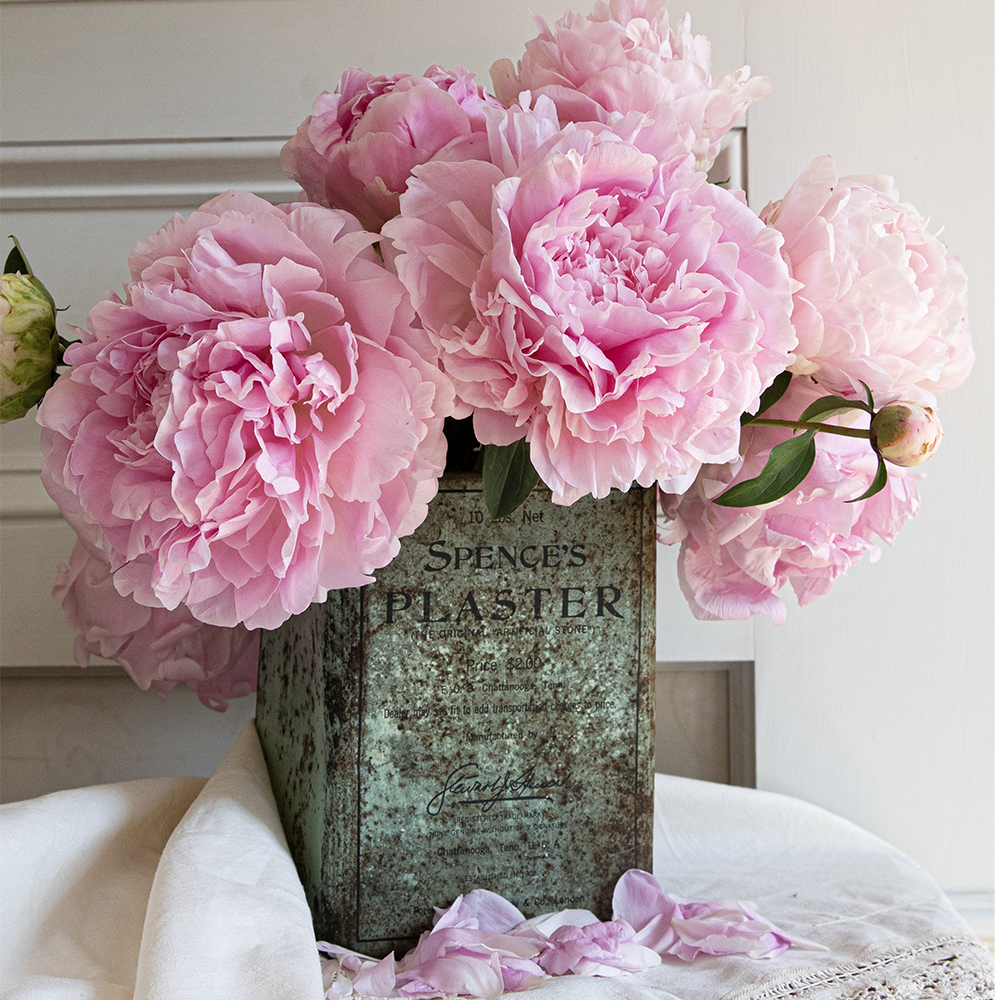 Cut Flower Shop – The Peony Fields